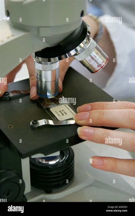 Specimen Slides For Microscope At Brenda Rasheed Blog