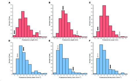 Frequency Distribution Of Pubescence Length Pl And Pubescence Download Scientific Diagram