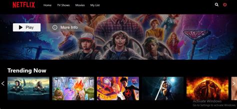 Netflix Clone Using Mern And Firebase Fully Interactive With Working User Alina Mohsin