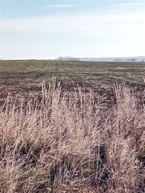 Бургас Земеделска Земя Земеделска земя 3000 кв м шеста категория Земеделска земя градини ло