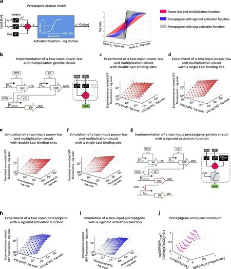 Transforming Bacterial Cells Into Living Artificial Neural Circuits Lifeboat News The Blog