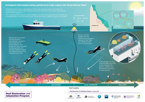 Ecorrap Ecological Intelligence For Reef Restoration Reef