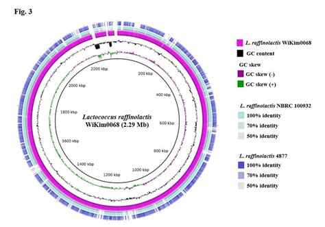Circular Comparison Of The Genomes Of Lactococcus Raffinolactis Download Scientific Diagram