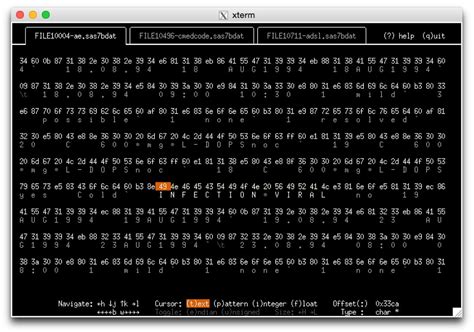 Hecate Alternatives 25 Text Editors And Similar Apps Alternativeto