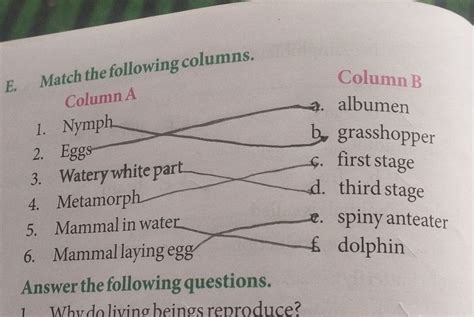 Match The Following Columns Column A 1 StudyX