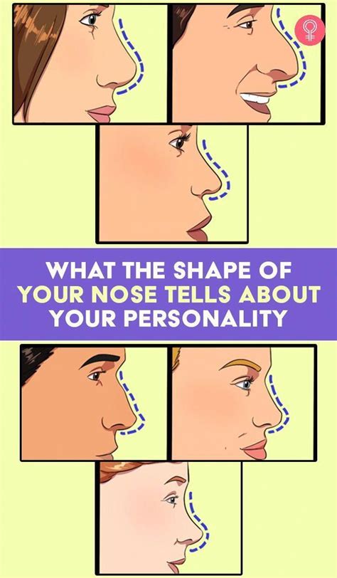 The Shape Of Your Nose Tells A Ton About Your Personality Nose