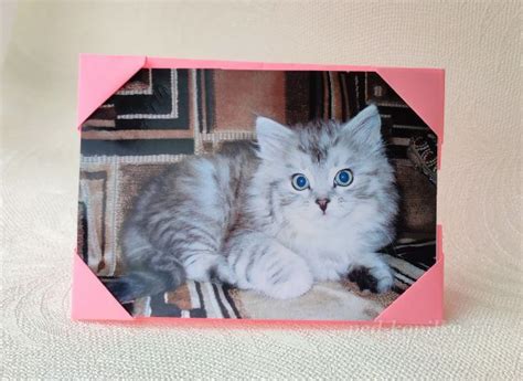 Рамка для фото из бумаги своими руками. Пошаговая инструкция с фото для ...