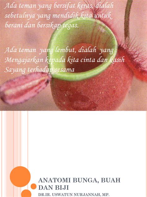 Kuliah 10 Anatomi Bunga Buah Biji Pdf