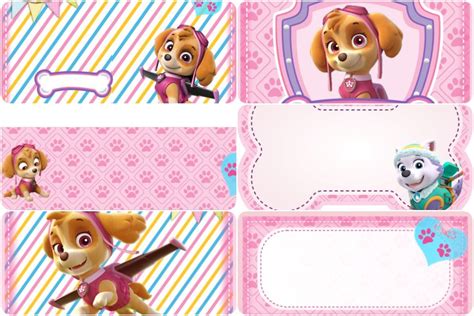 Etiqueta Escolar Skye Para Imprimir Arte Para Toda A Festa