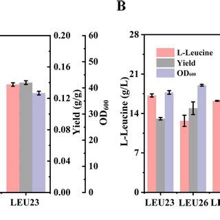Effects Of The Dynamic Regulation Of The TCA Cycle A Knockout Of Download Scientific Diagram