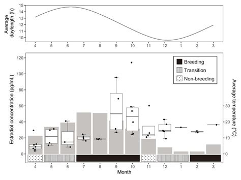 ELISA Analysis Of Blood Estradiol Concentration Per Month Box Plot Download Scientific