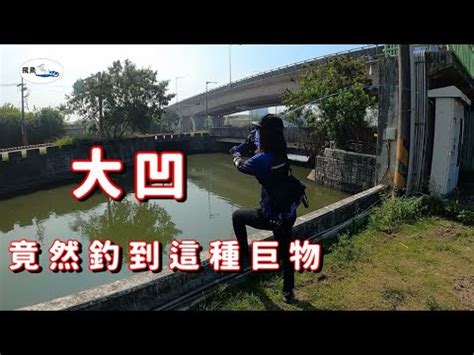 台南都市流溝探點生態豐富遇到大物捲線器唉唉叫 YouTube