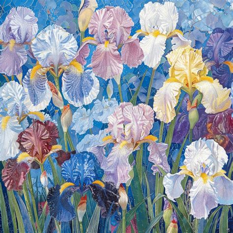 Write About The Different Varieties Of Irises From Bearded Irises To