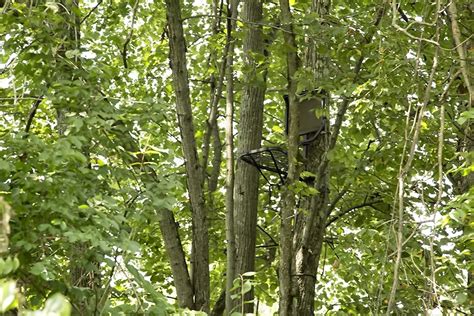 Treestand Safety Tips SELFILMED