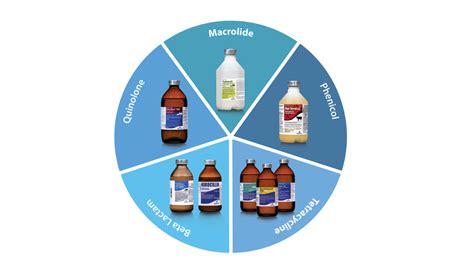 Enroflox® 100 Enrofloxacin Injectable Solution Norbrook