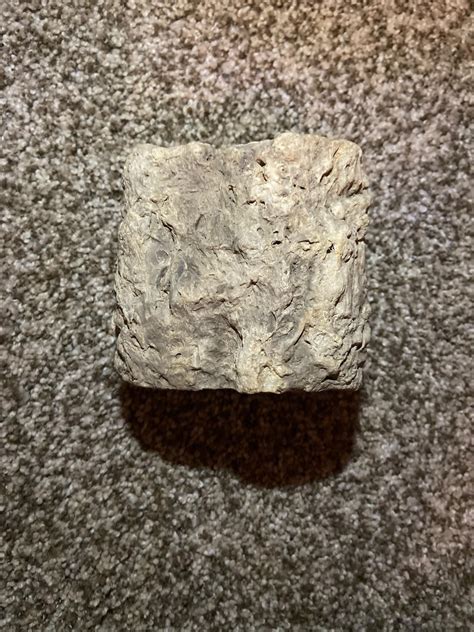 Rate My Lepidodendron Fossil 1 10 R Fossils
