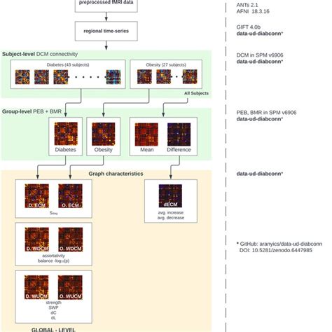 Effective Connectivity Matrices Ecm Representative For Type 2