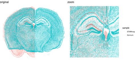 Jefworks Lab Aligning Spatial Transcriptomics Data With Stalign