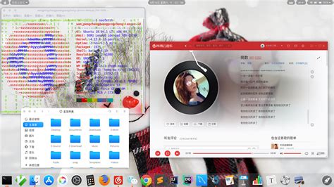 浅谈ubuntu 18 04 1 lts x86 64安装，美化配置及常用软件安装配置的历程 ubuntu 安全软件 paraiso x86