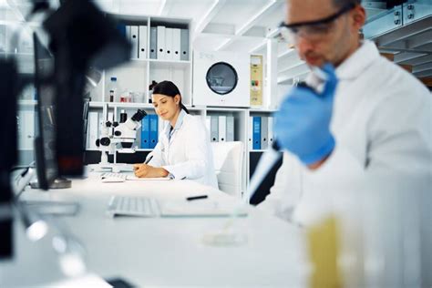 SCCS co to jest i jaką pełni rolę Estetiko