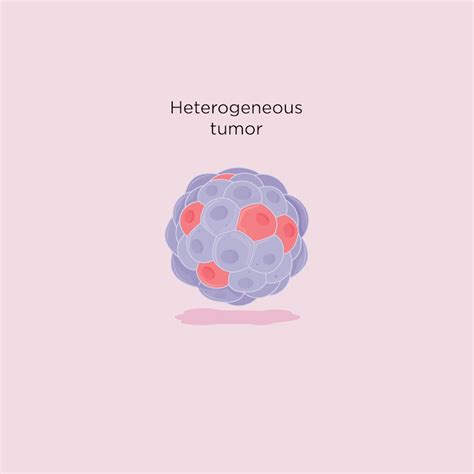 Cancer Researchers Use Evolution To Target Drug Resistance The