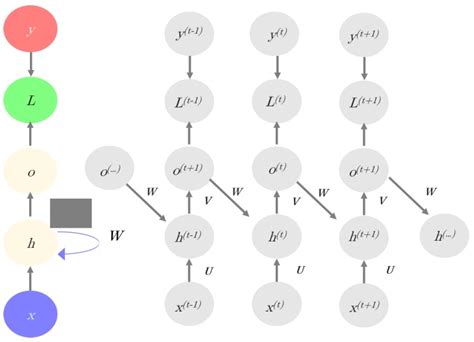 A Guide On Deep Learning For Complex Trait Genomic Prediction Pmc