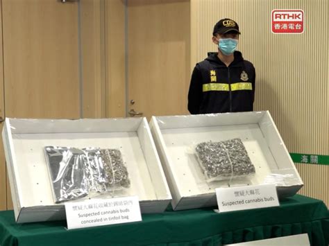 海關檢570公斤懷疑大麻花巿值逾億 歷來最大宗大麻案件 Rthk
