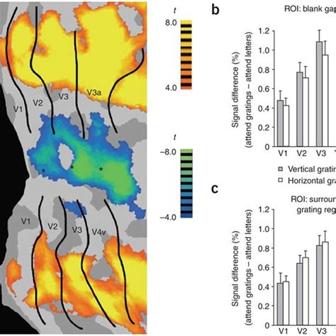 Attentional Modulation Effects Across Visual Areas A Activation Map Download Scientific