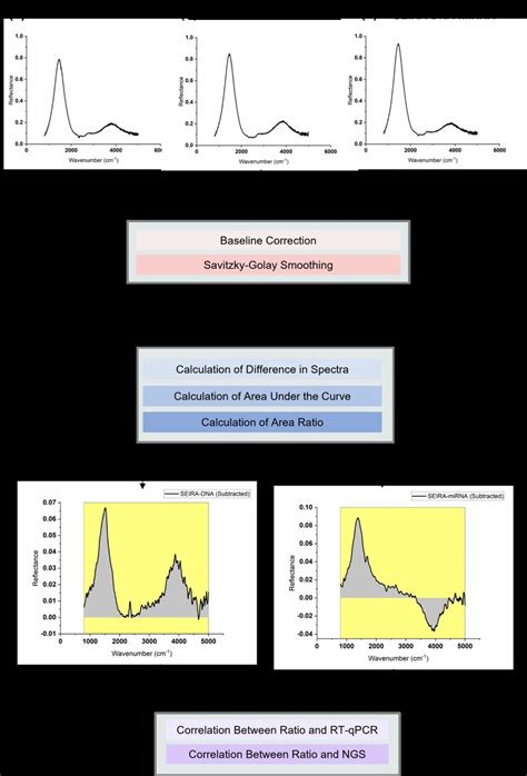 Data Analysis Workflow Reflectance Measurements Of Seira Seira Dna