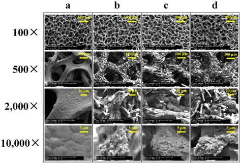 Sem Micrographs At Different Magnifications For A Untreated Cu Foam