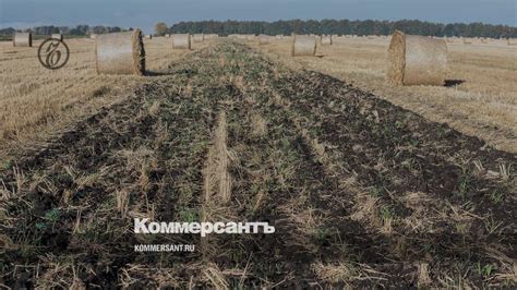 В Орловской области в законное владение вернули 480 га сельскохозяйственных земель Коммерсантъ