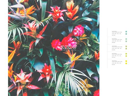 Code Sunglasses Behance