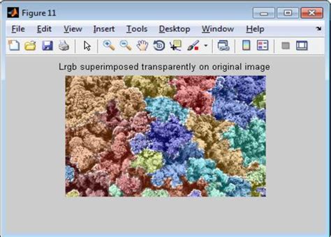 Figure 1 From Robust Tree Crown Delineation Using Novel Marker