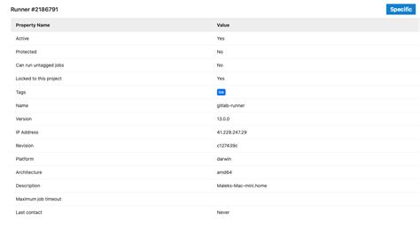 Specific Runner Led To Pending Job This Job Is Stuck Because You Dont Have Any Active Runners