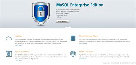 安装mysql的方式mysql Enterprise Edition Csdn博客