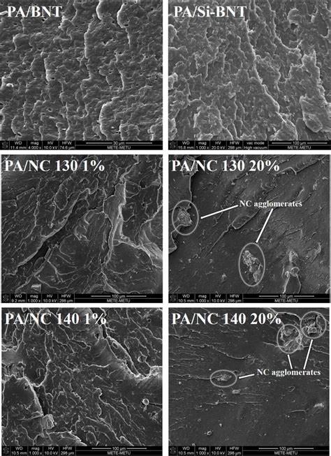 Sem Micrographs Of Composites Download Scientific Diagram