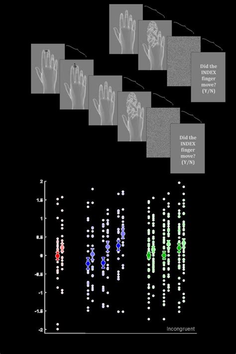 Action Execution And Detection Task With Signal Detection C Results