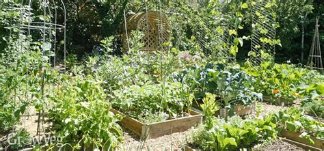 Plan Your Perfect Vegetable Garden Layout