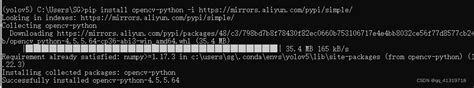 搭建yolov DeepSORT deepsort库安装 CSDN博客