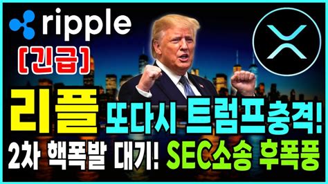 리플 코인 전망⭐xrp 2차핵폭발준비 Sec후폭풍 모멘텀은 이때부터 리플 리플전망 리플코인 Youtube