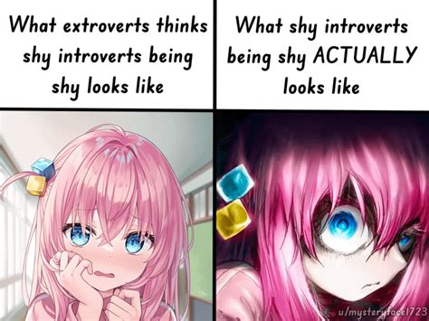 What Shy Introverts Being Shy Actually Looks Like R Bocchitherock