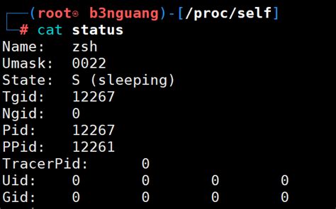 proc文件系统解析 csdn博客