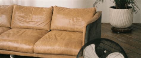 Hacer Pruebas Unitarias En Html Y Javascript Devcodelight