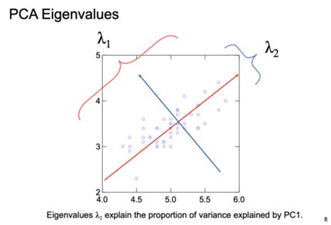 Business Analytics And Ml Dimensionality Reduction Flashcards Quizlet