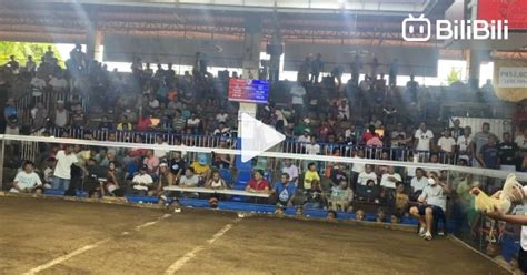 2 Hits Big Event 2 Hits Second Fight Lose Taal Coliseum Bilibili