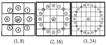 The Illustration Of Radius Sizes Download Scientific Diagram