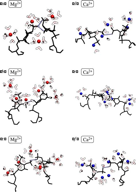 Snapshots Of Lipid Cation Lipid Bonds Each Panel Shows An Download Scientific Diagram