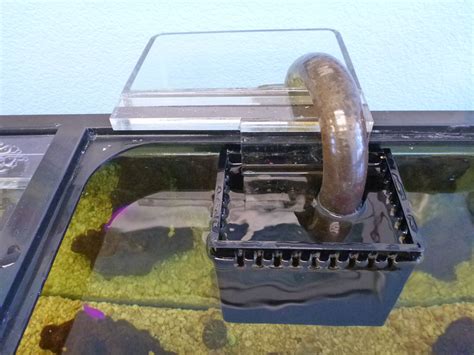 What To Know About Aquarium Sump And Overflow Box Setups