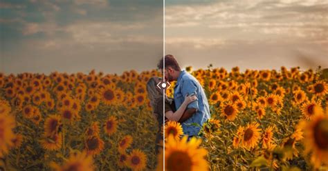 Wp Comparison Gallery Plugin Code Canel