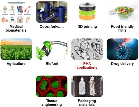 Polyhydroxyalkanoate Applications Including Packaging Medical Download Scientific Diagram